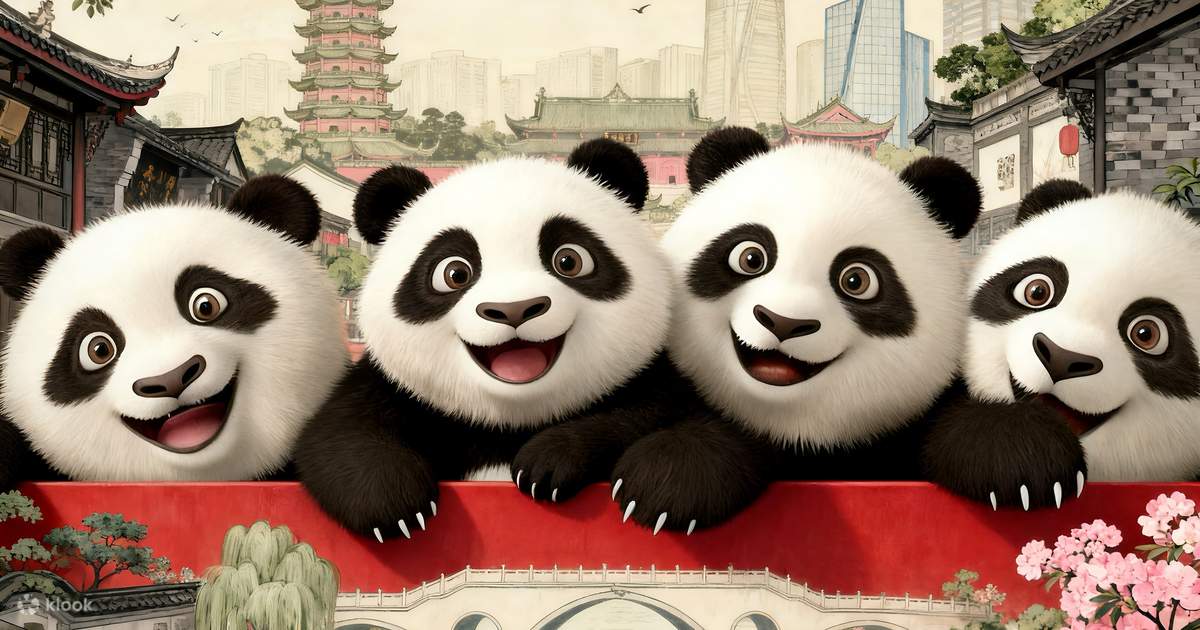 Chengdu Panda Base + Kuanzhai Alley 1-Day English Tour - Klook United Kingdom